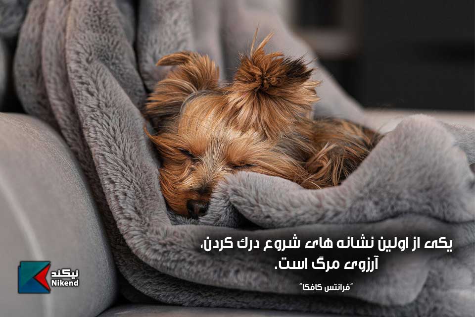 سخنان فرانتس کافکا جملات ناب، زیبا و آموزنده از فرانتس کافکا