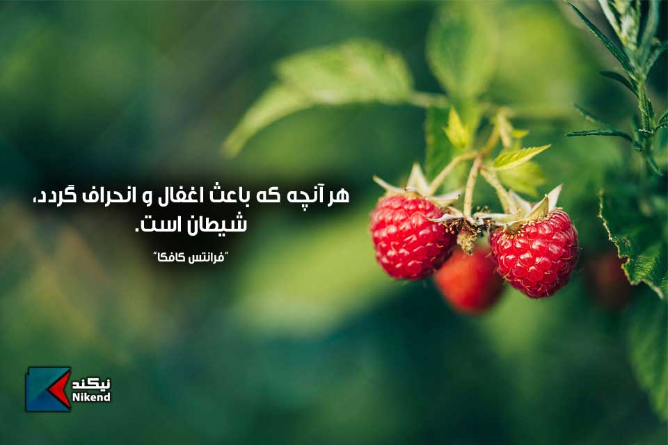 سخنان فرانتس کافکا جملات ناب، زیبا و آموزنده از فرانتس کافکا